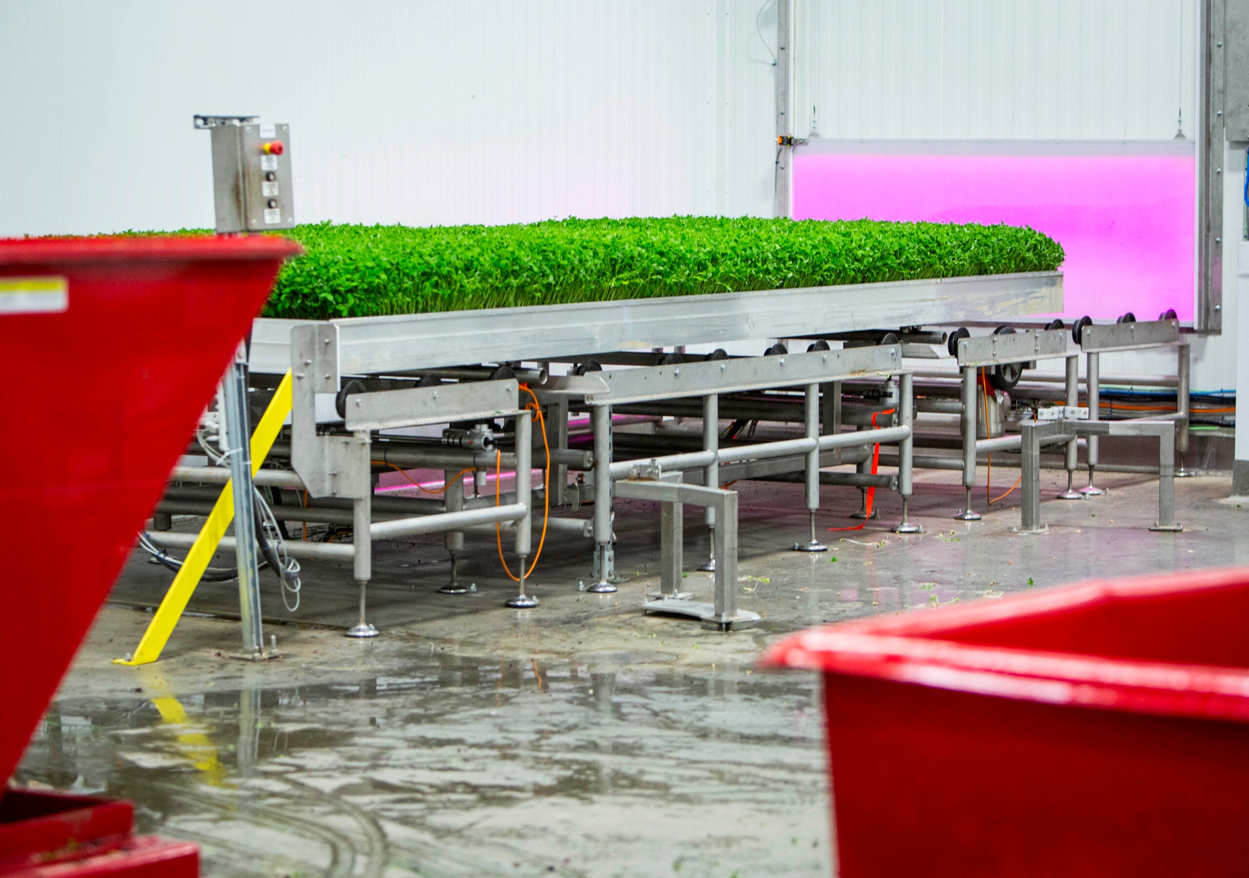 GoodLeaf Expands Vertical Farming in Canada